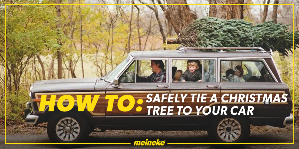 How to Tie a Christmas Tree To Your Car | Meineke Blog