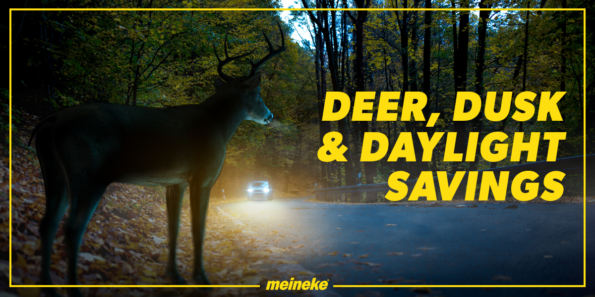 How to Avoid Hitting a Deer | Meineke Blog