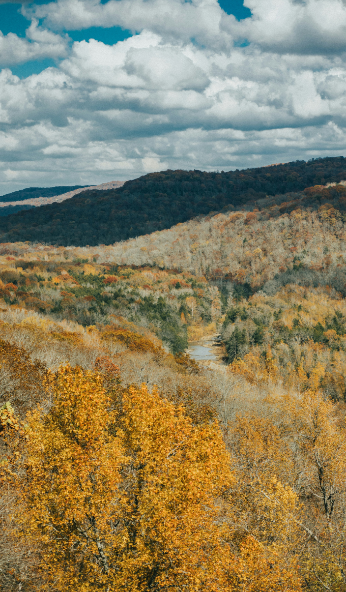 Employing in Arkansas: Remote’s compliance guide | Remote