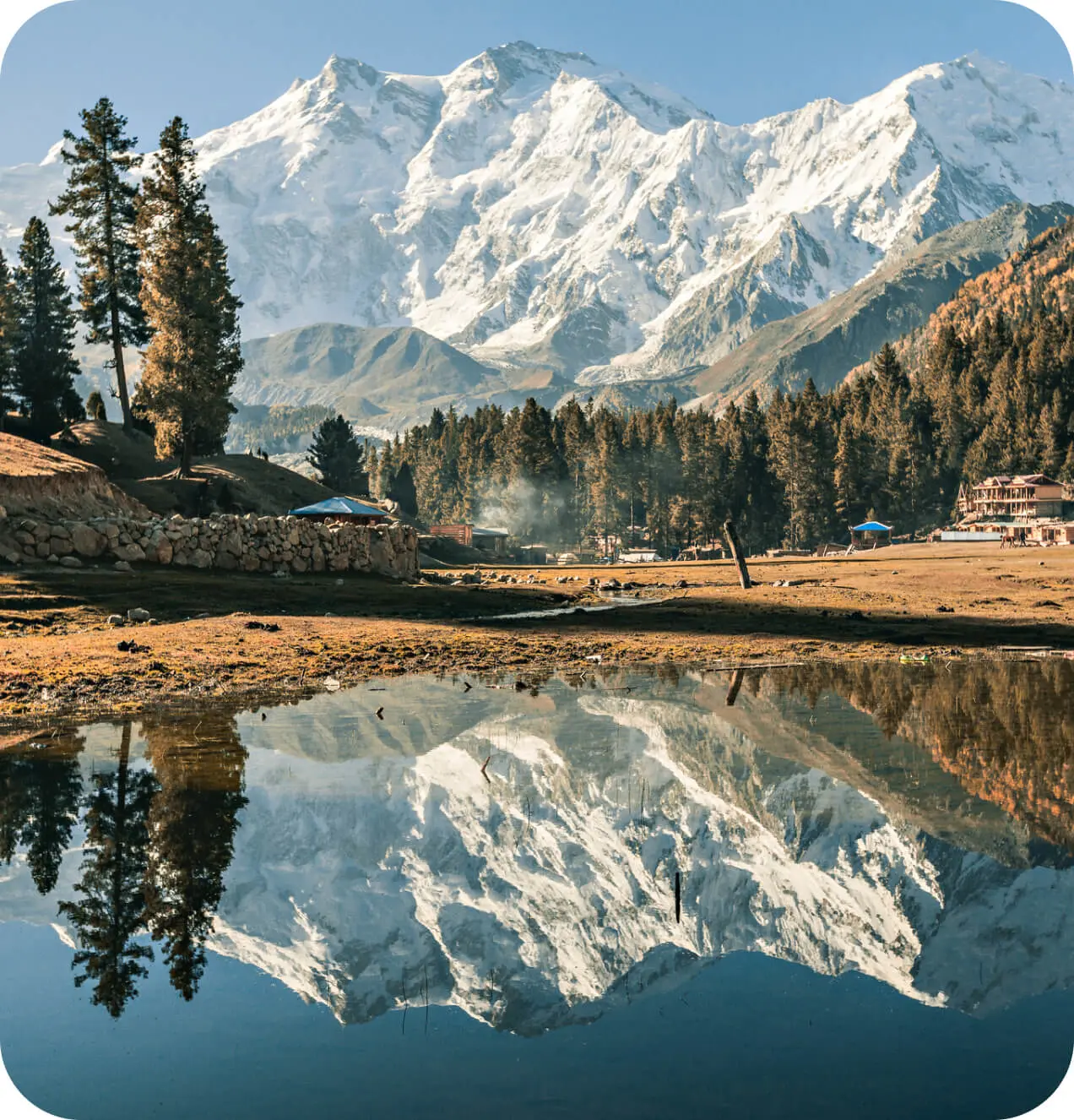 Employer of Record & Payroll Services in Pakistan | Remote