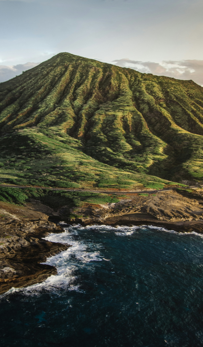 Employer of Record & Payroll Services in Hawaii | Remote