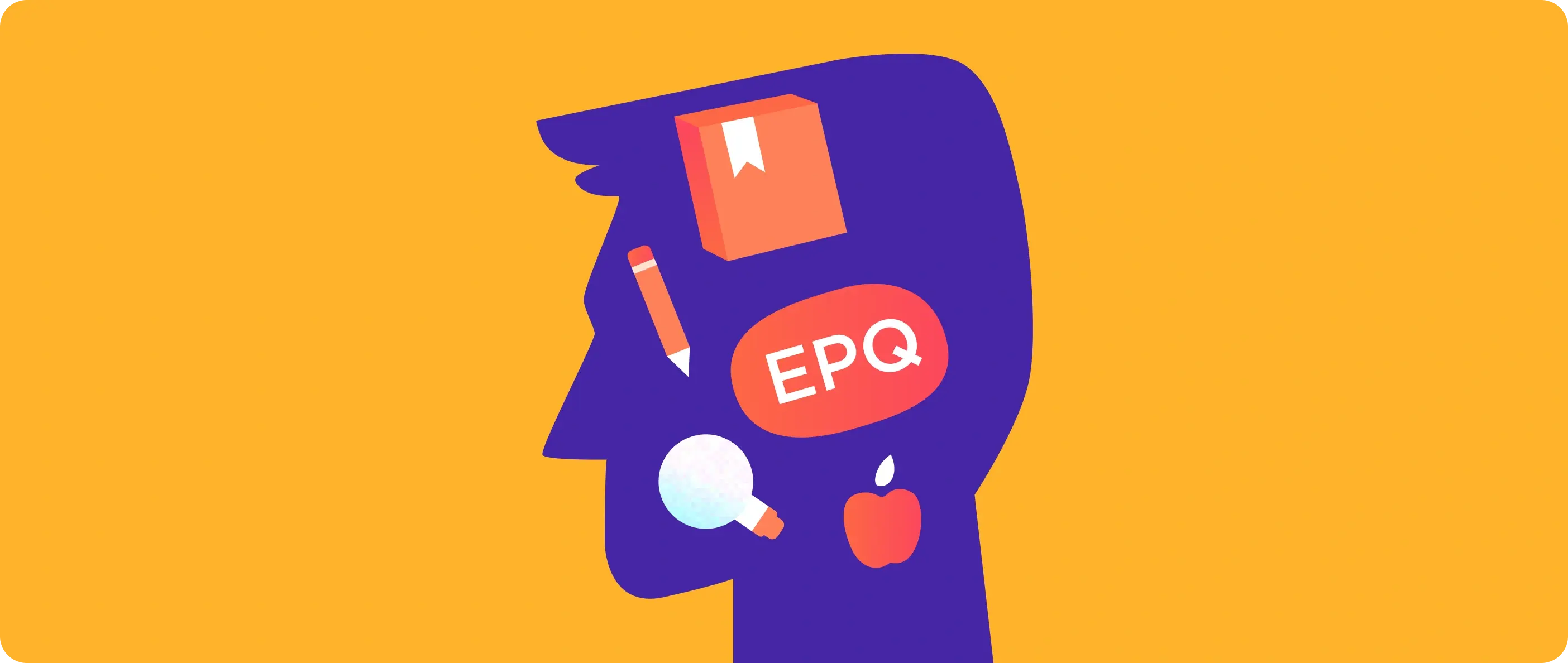 Use Learning Games for Adults to Improve Your Brain Health