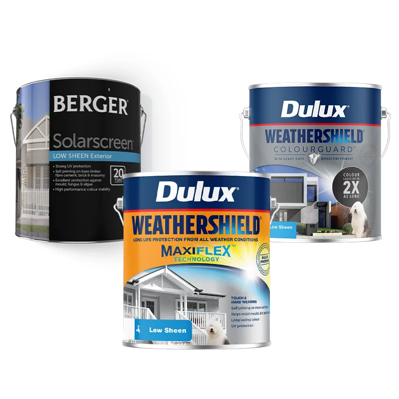 Paint | Products