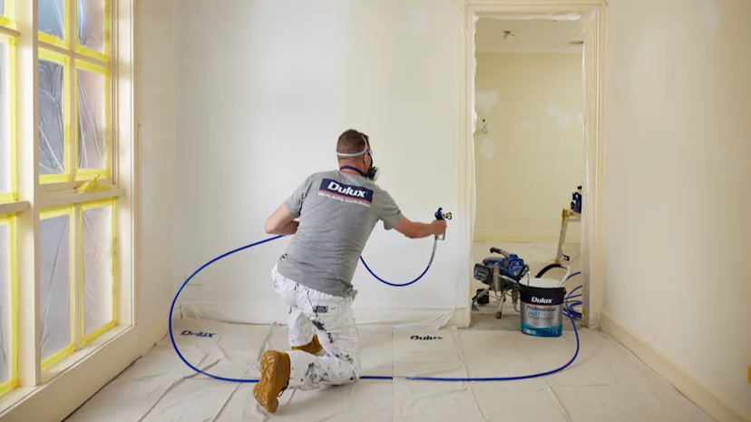 Paint | Products