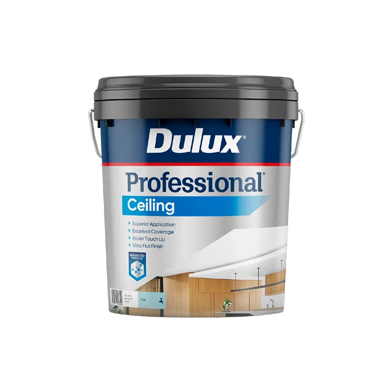 Paint | Products