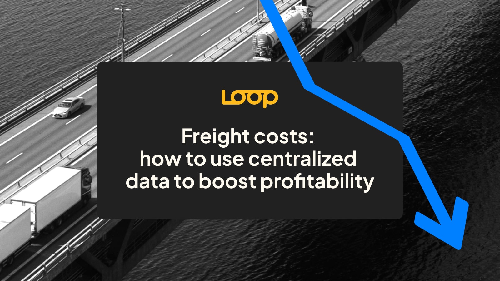 Freight costs: how to use centralized data to boost profitability