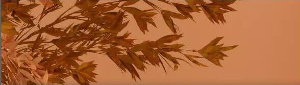 KeyShot 10 Tutorial: How to Render a Perfume Bottle