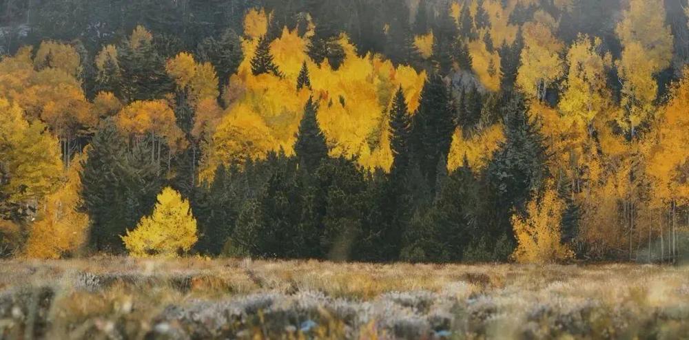 Revealing the Techniques Behind the Production of Jibaro "Love, Death ...