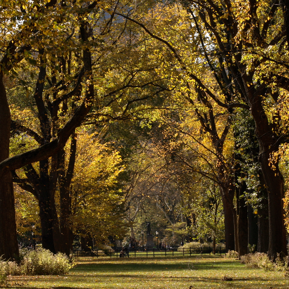 Equinox | How to Bounce Back into Fitness This Fall