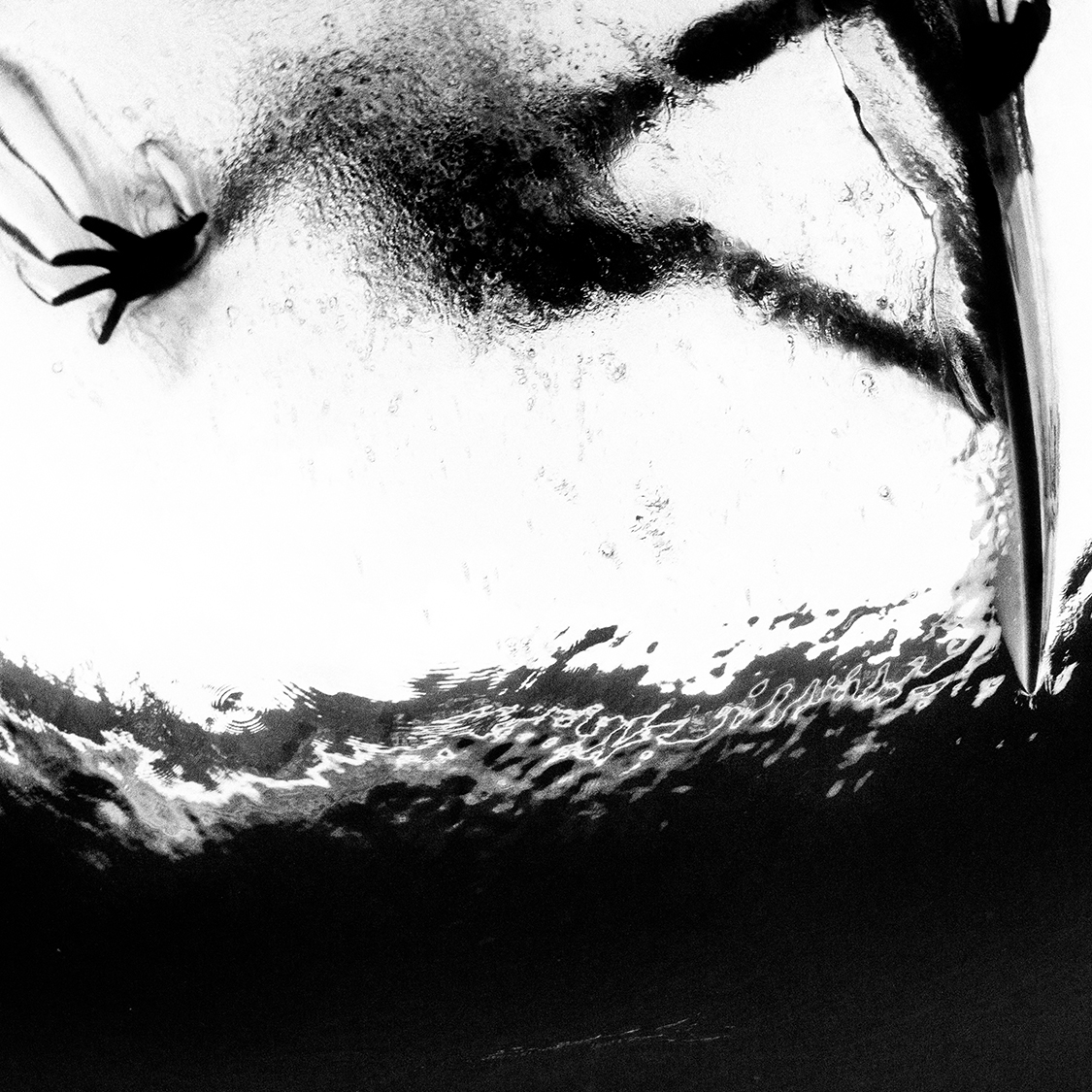 Equinox | Inside New York’s Surf Culture