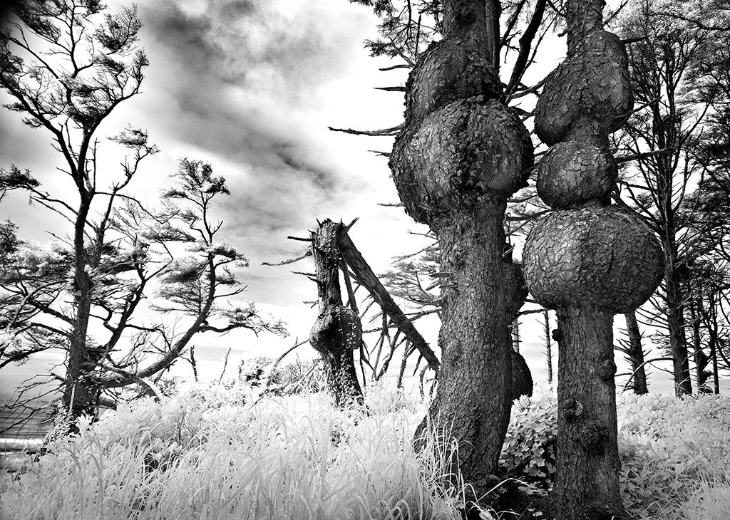 Mitch Dobrowner Photography