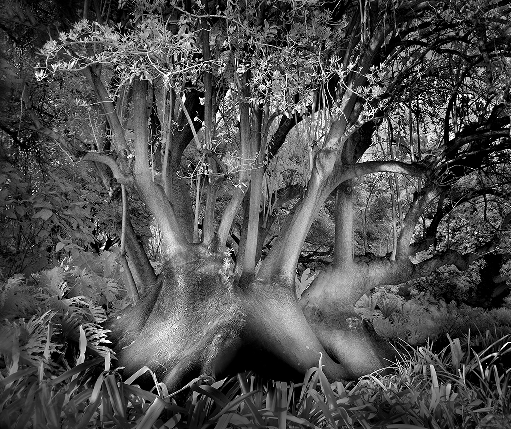 Mitch Dobrowner Photography