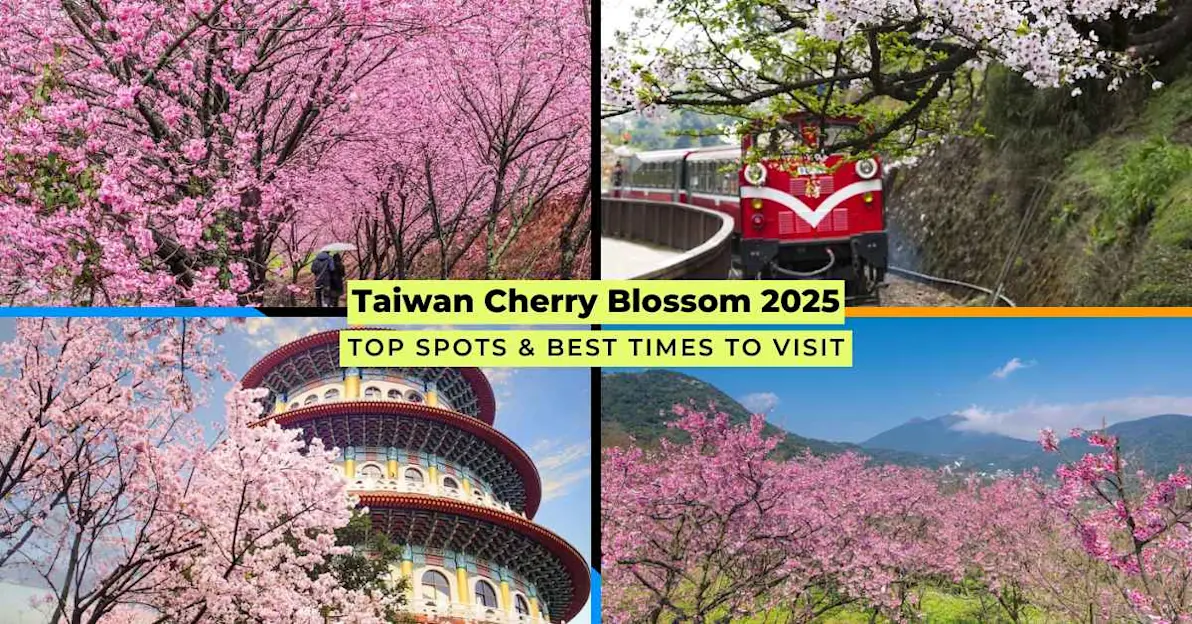 Taiwan Cherry Blossom 2025: Top Spots & Best Times to Visit - Pelago