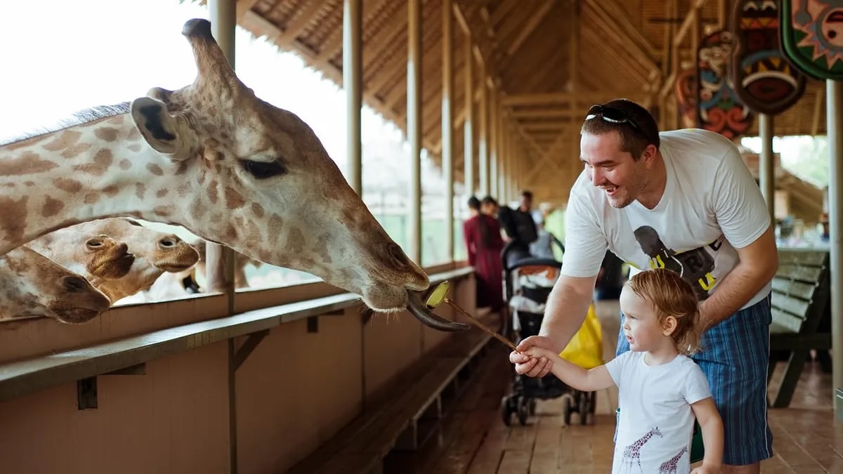 Safari World Bangkok Ticket Price, Show Timings & More