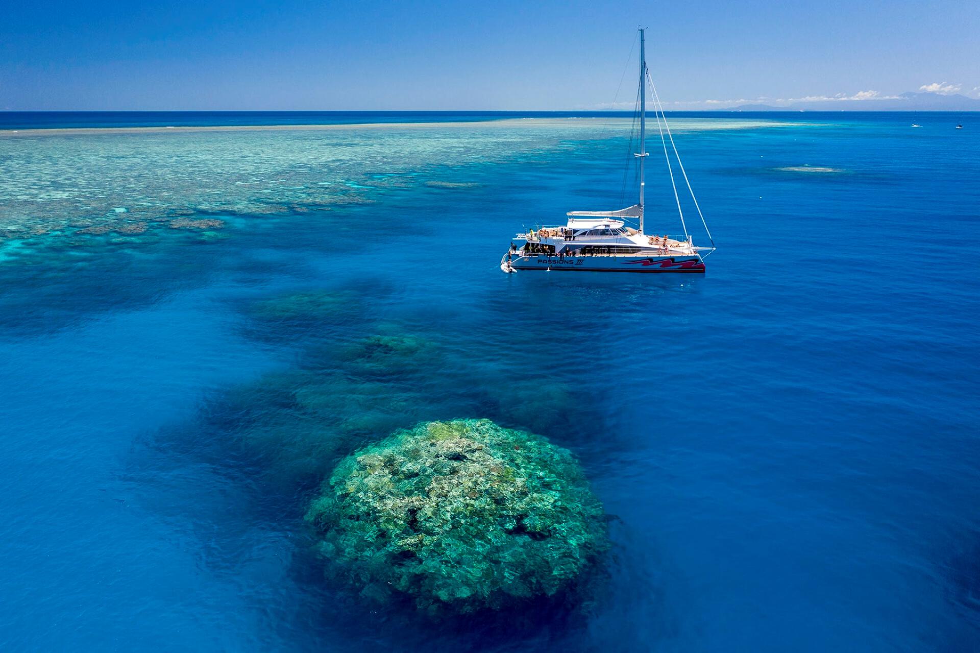 6 Rainforest and Great Barrier Reef Tours for Your First-Time Cairns ...