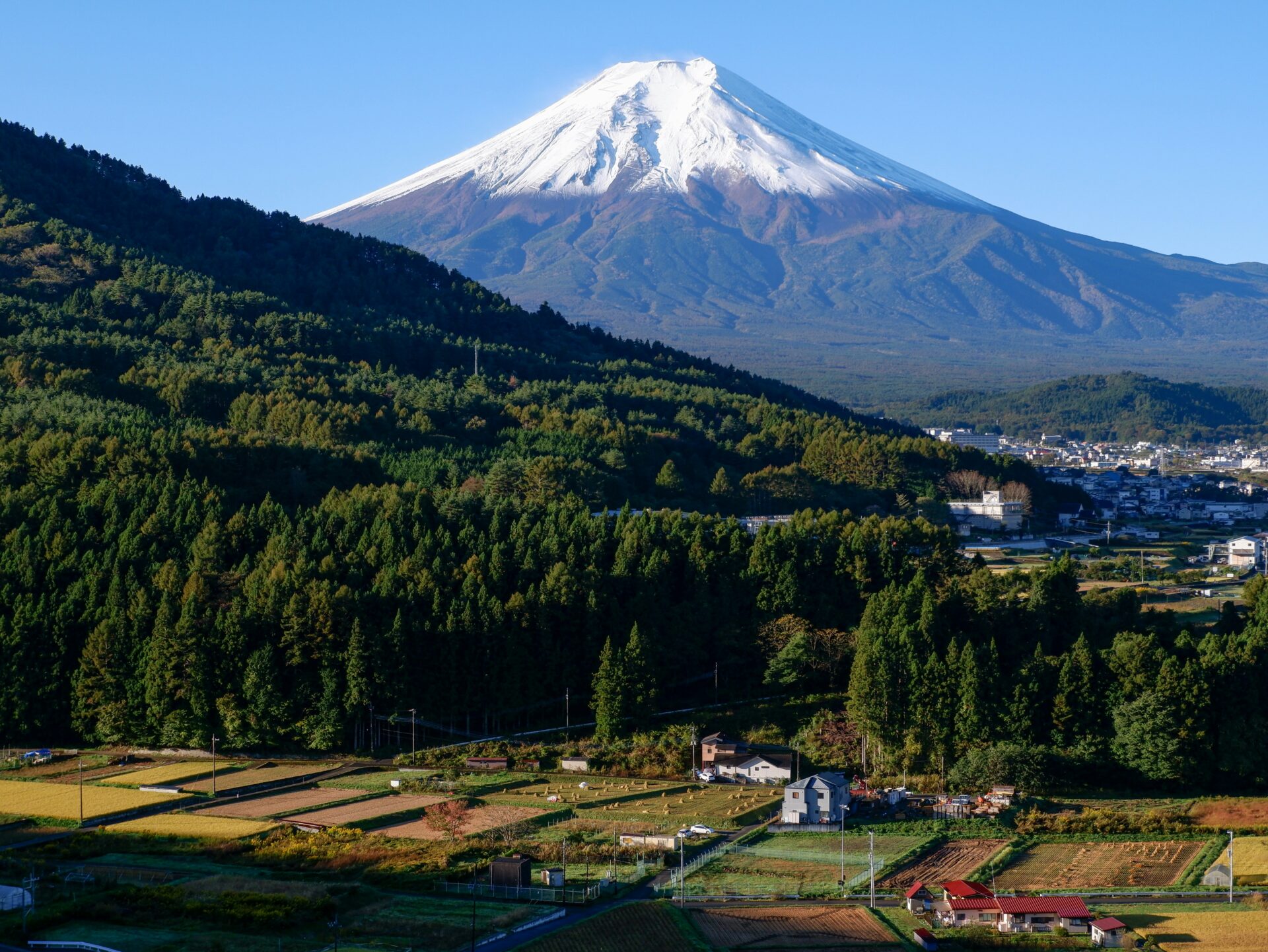 Best Guide to Your Mount Fuji Day Trip from Tokyo - Pelago