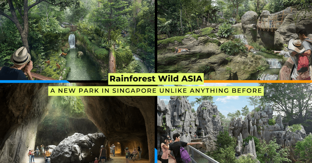 Rainforest In Asia Rainforest Wild Asia To Open In March 2025