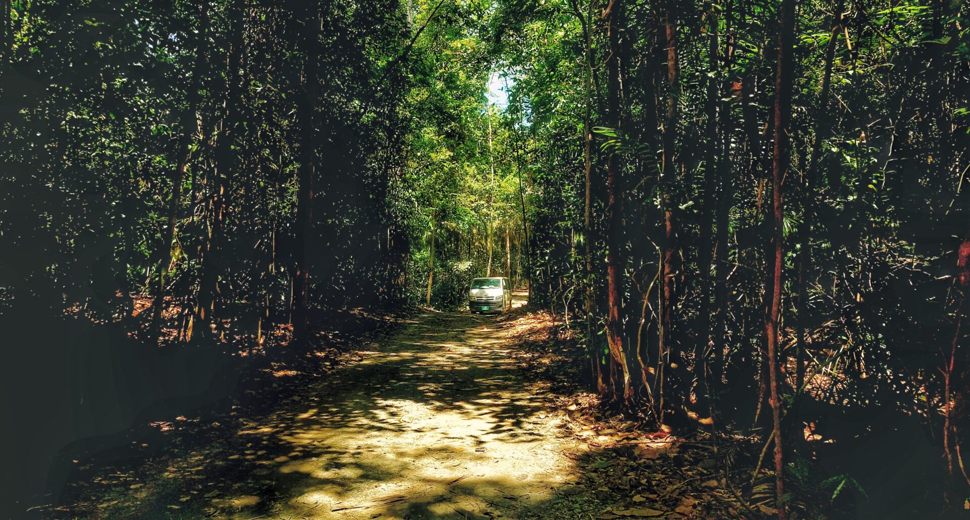 Your Ultimate Pulau Ubin Guide: Things to Do and How to Go