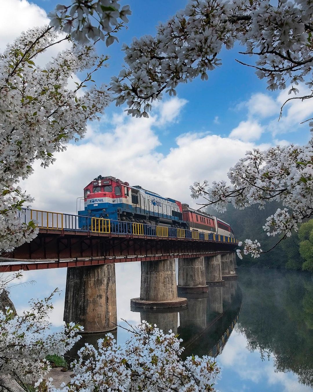 Your Complete Guide to the Korea Rail Pass (KR Pass): Everything You Should Know! - Pelago