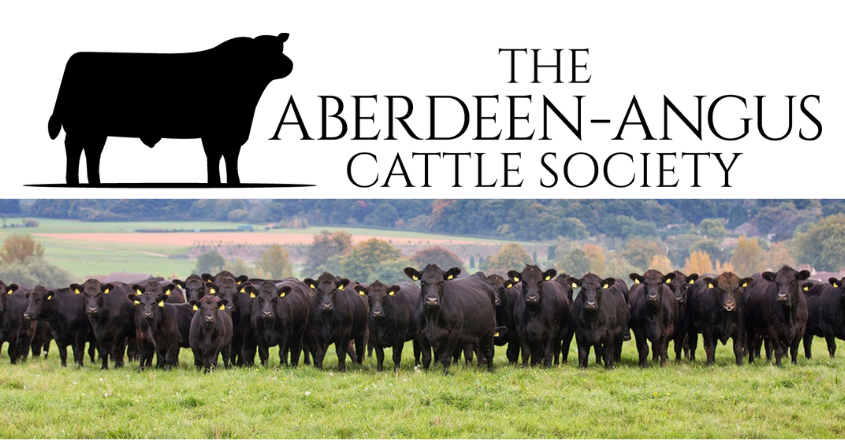 Aberdeen Cattle Society | Aberdeen Angus Beef – FJCY