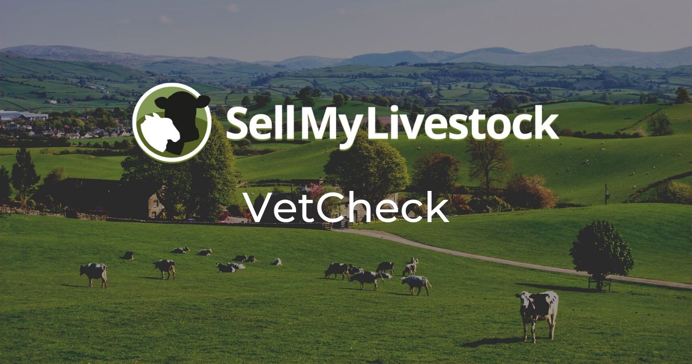 Our new service: VetCheck | SellMyLivestock - The Online Livestock ...
