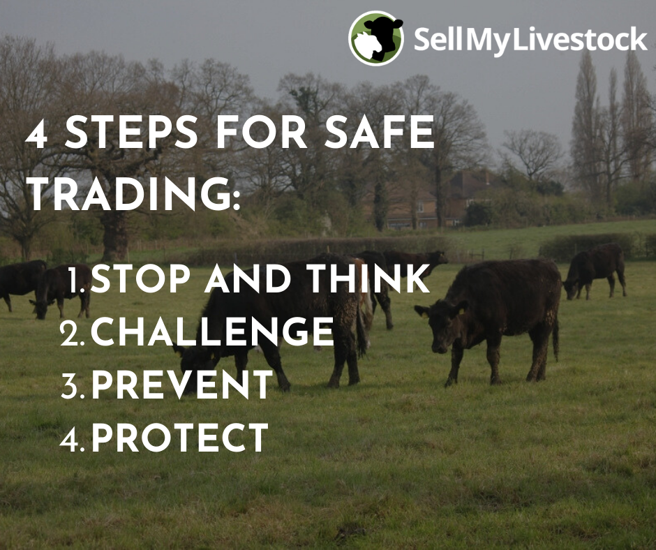 Your go-to guide for safe trading on SellMyLivestock | SellMyLivestock ...