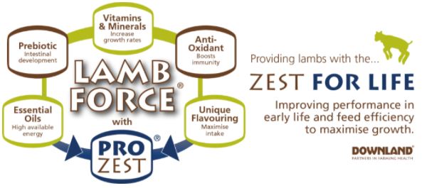 Lamb Force Ewe Milk Replacer – Made with Ewe’s Milk #sponsored ...