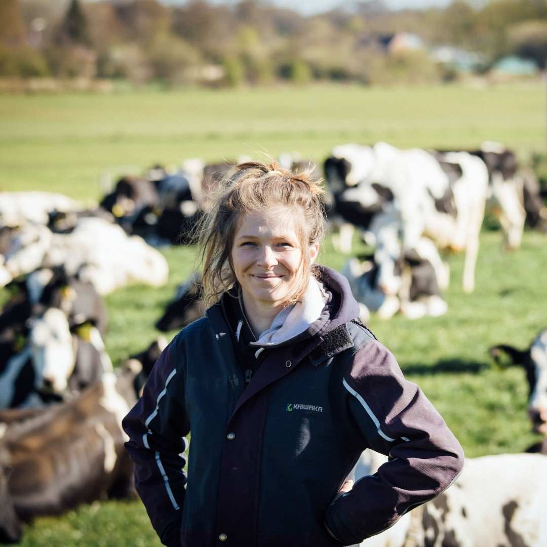 How a dairy farm’s approach to heifer ID underpins herd management ...