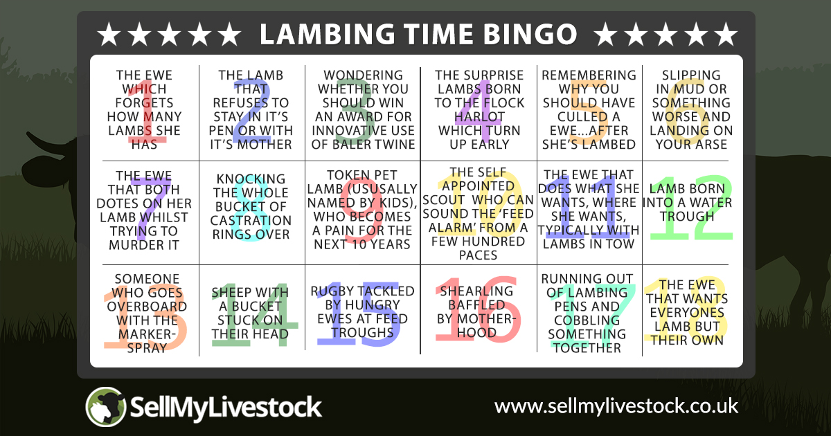A-Z of Lambing 2020 | SellMyLivestock - The Online Livestock Marketplace