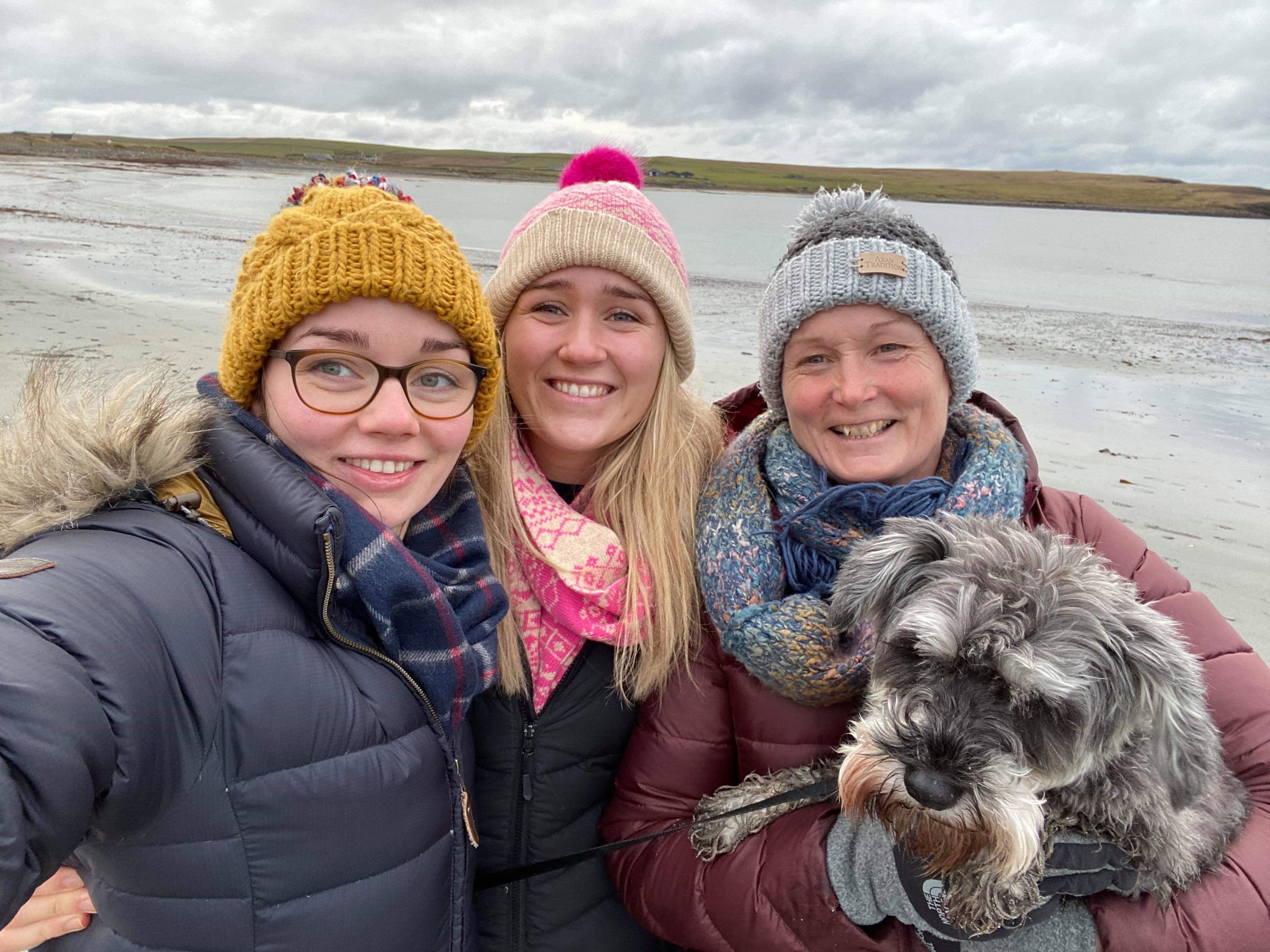 Lleyn Sheep at Skaill Farm | SellMyLivestock - The Online Livestock ...