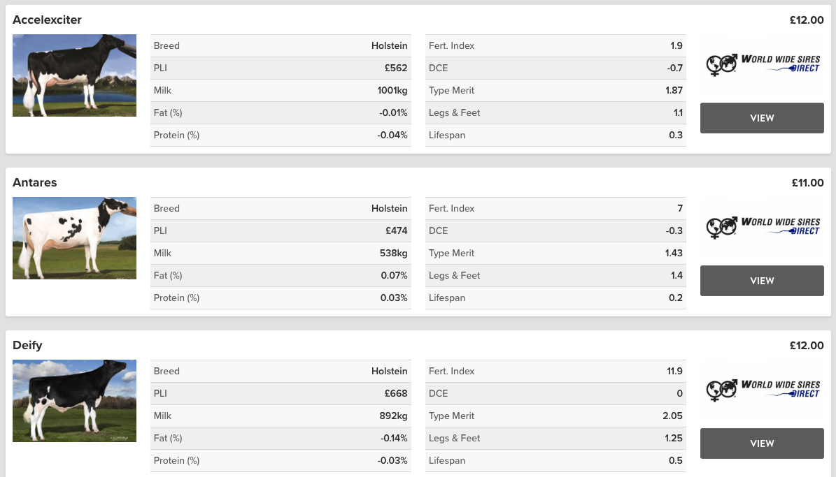 The importance of Breeding Cows | SellMyLivestock - The Online ...