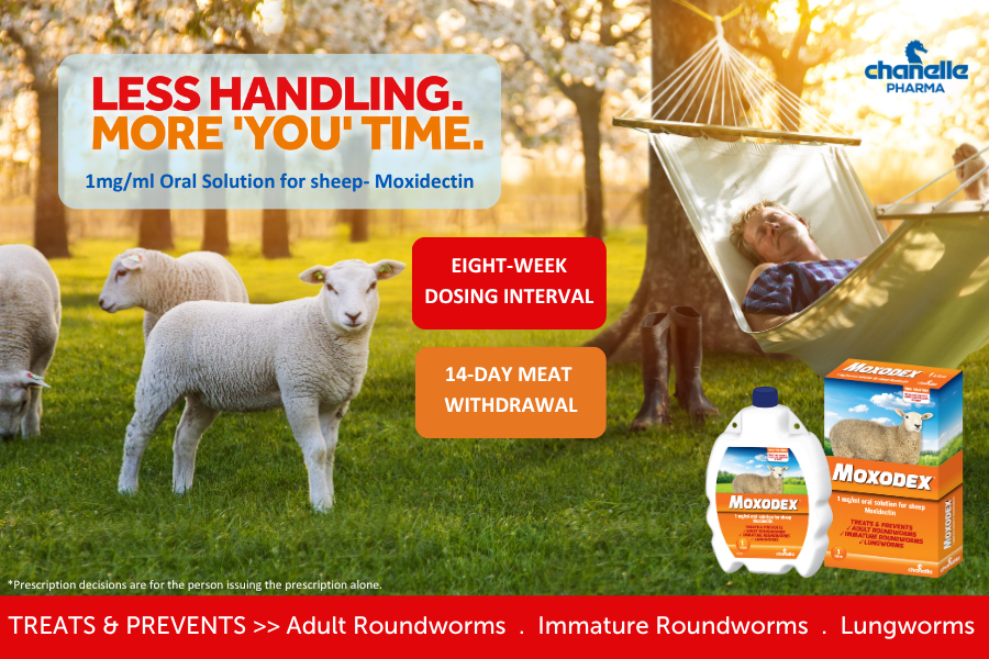 SellMyLivestock - The Online Livestock Marketplace | SellMyLivestock ...