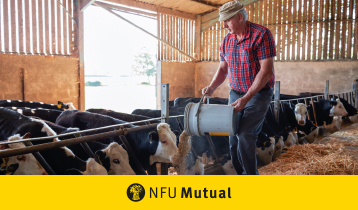 How to safely load and unload livestock for transport | SellMyLivestock ...