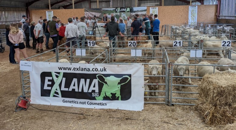 It’s All About Numbers For This Group of Innovative SW Farmers ...