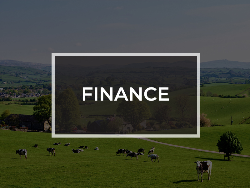 How to spot a good livestock finance deal | SellMyLivestock - The ...