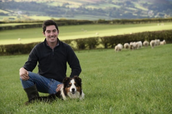 The Lleyn Ewe – A Suitability Sustainable Sheep By Ernie Richards, NSA ...