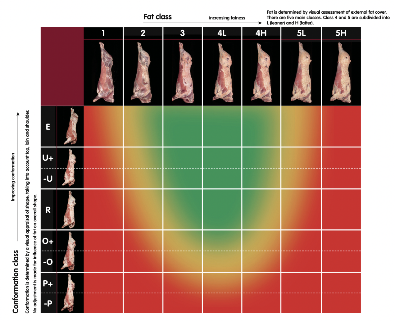 Is it time to rethink the EUROP grading system? | SellMyLivestock - The ...