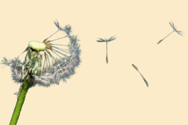 Thoughts on Community Building - Fabrik