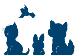 Kjøp ESSENTIAL Highland Living Small Breed på nett hos VetZoo