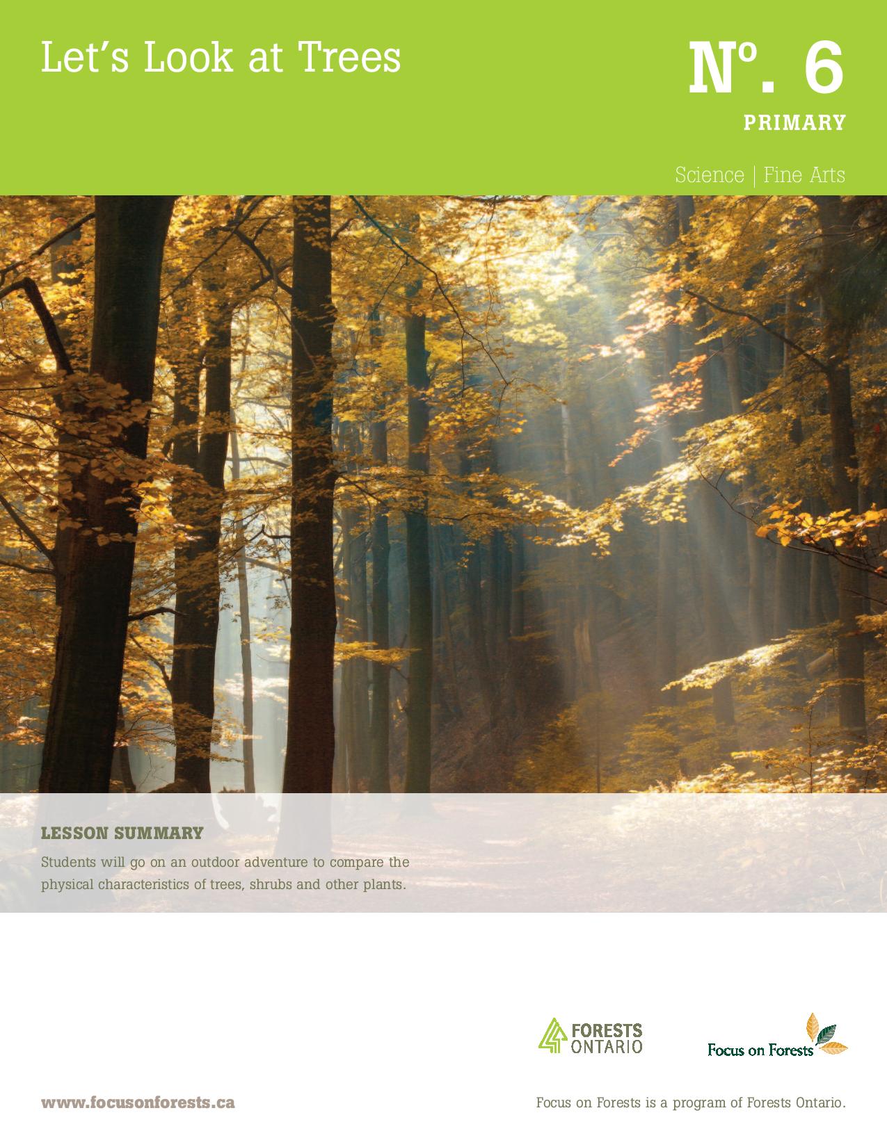 Let's Look at Trees | Forests Canada