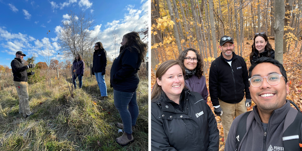 Why Seed Sources Matter in a Changing Climate | Forests Canada
