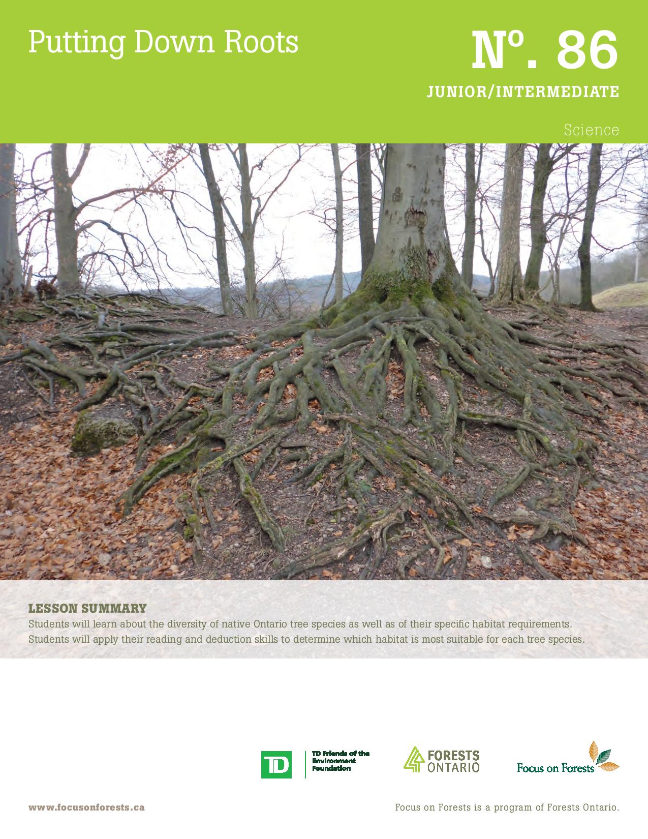 Putting Down Roots | Forests Ontario