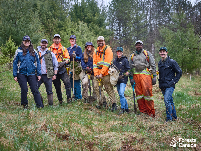 2025 Spring Plantings Photo Gallery | Forests Canada