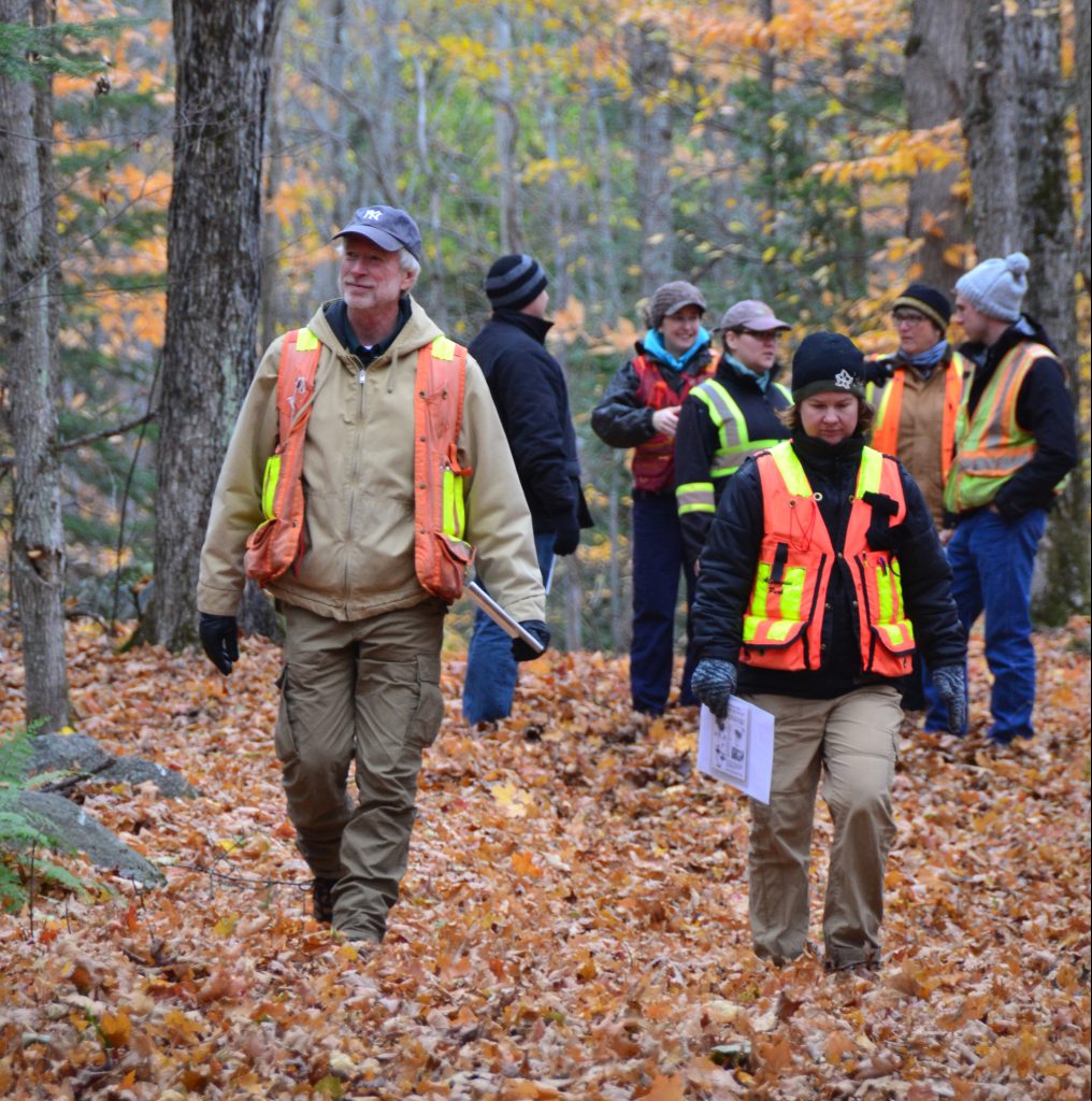 Tree Marking Program Forests Ontario tree-marking-program-forests-ontario