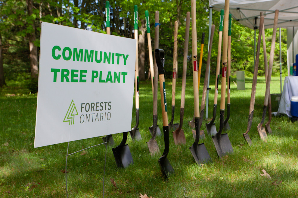 Community Tree Plant | Forests Canada