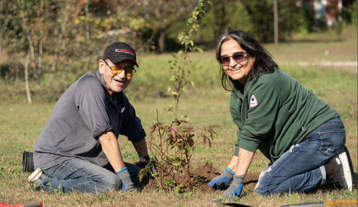Reconciliation Community Tree Plant | Forests Canada
