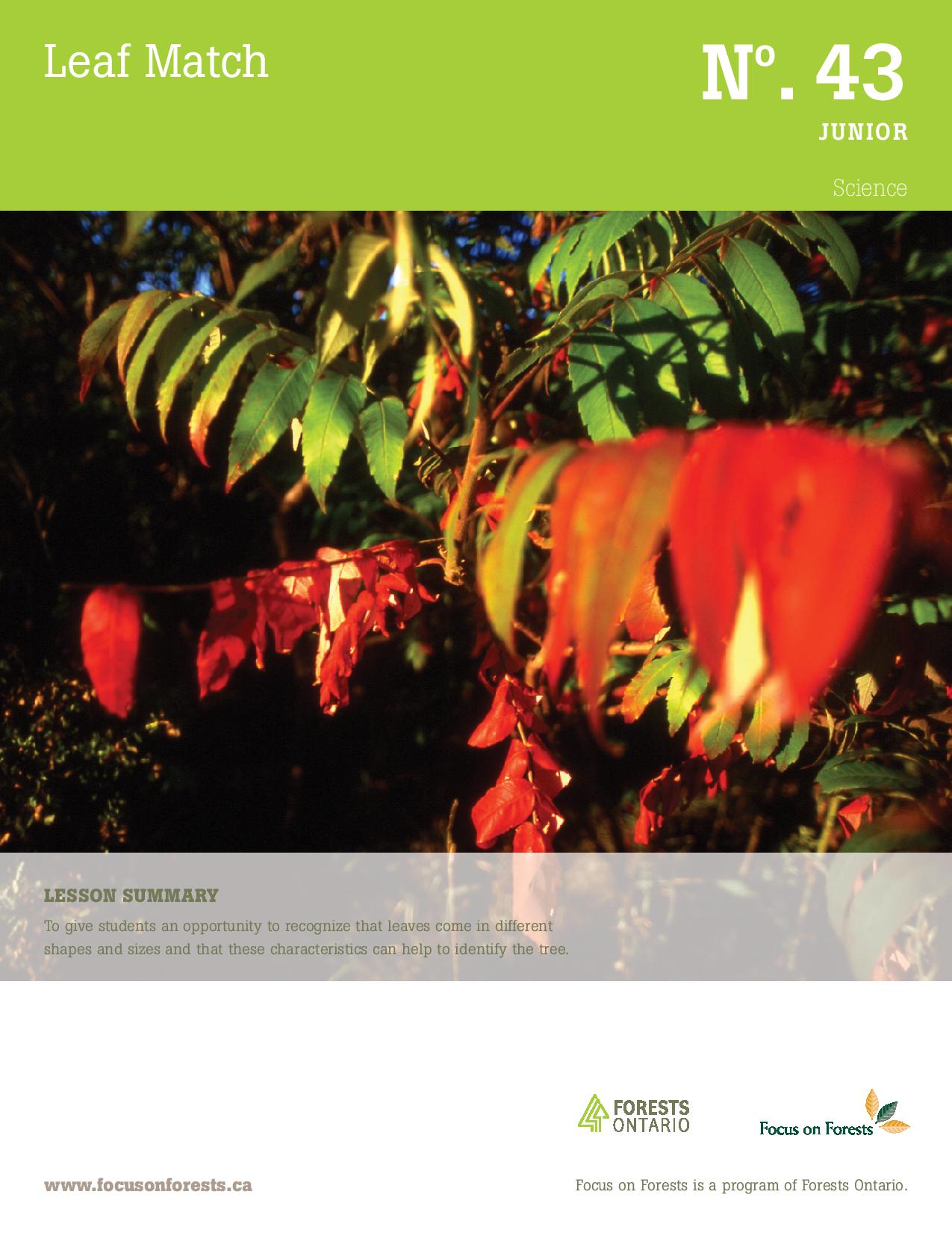 Leaf Match | Forests Canada