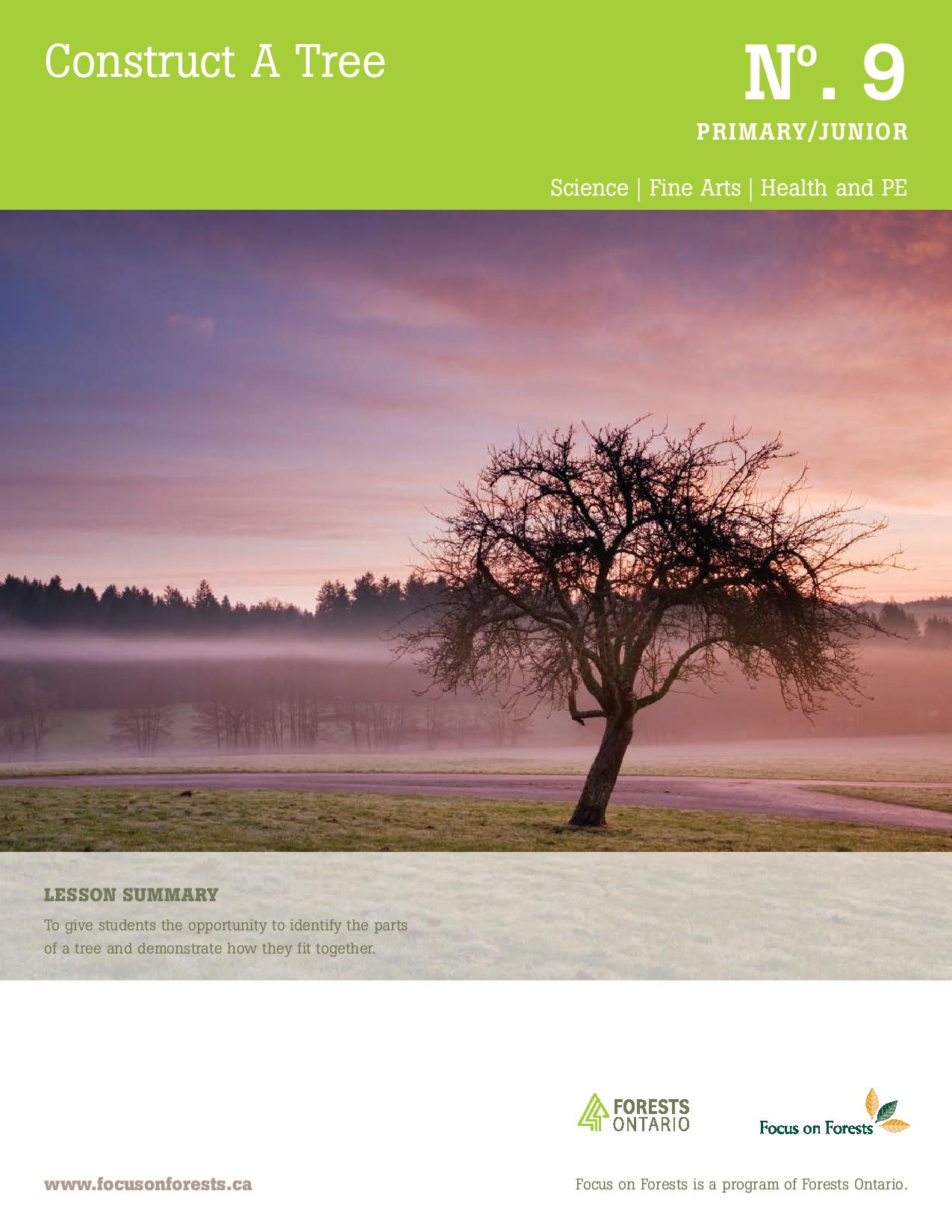 Construct A Tree | Forests Canada