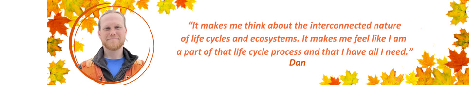 Join us in Celebrating National Forest Week | Forests Canada