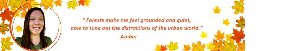 Join us in Celebrating National Forest Week | Forests Canada